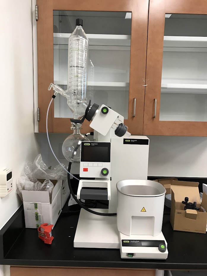 Home [www.researchrisingstars.com]