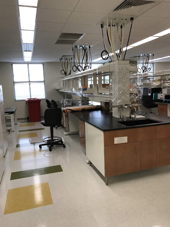 Home [www.researchrisingstars.com]